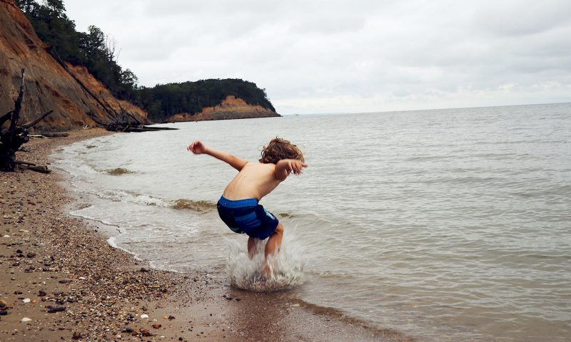 More than the Shore: Calvert Cliffs State Park » Maryland Road Trips