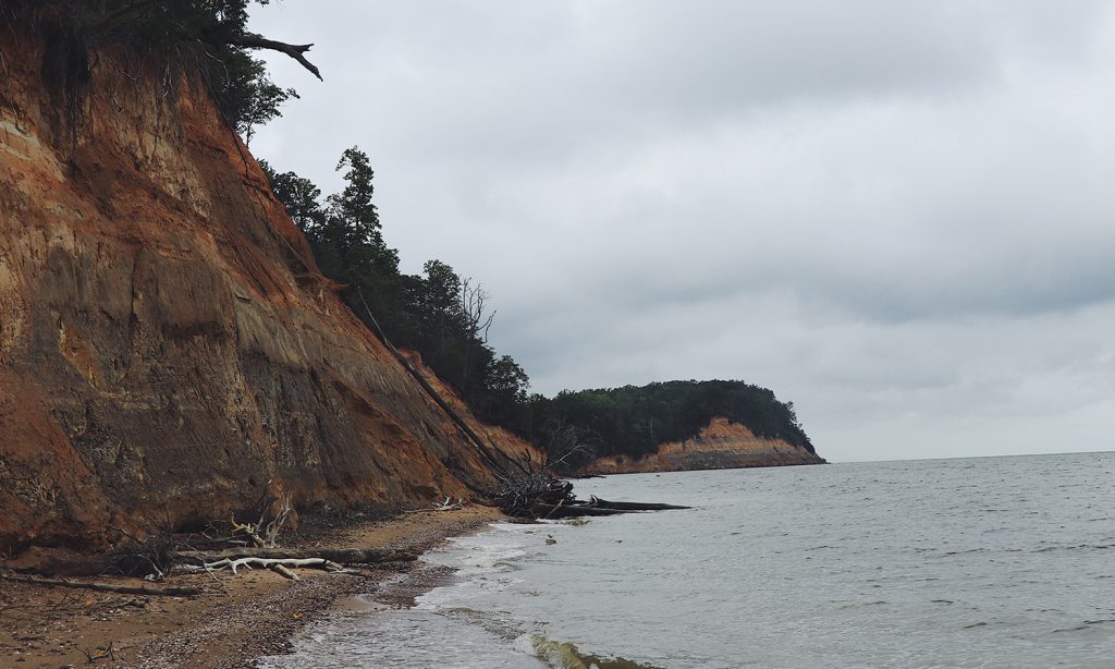 More than the Shore: Calvert Cliffs State Park » Maryland Road Trips