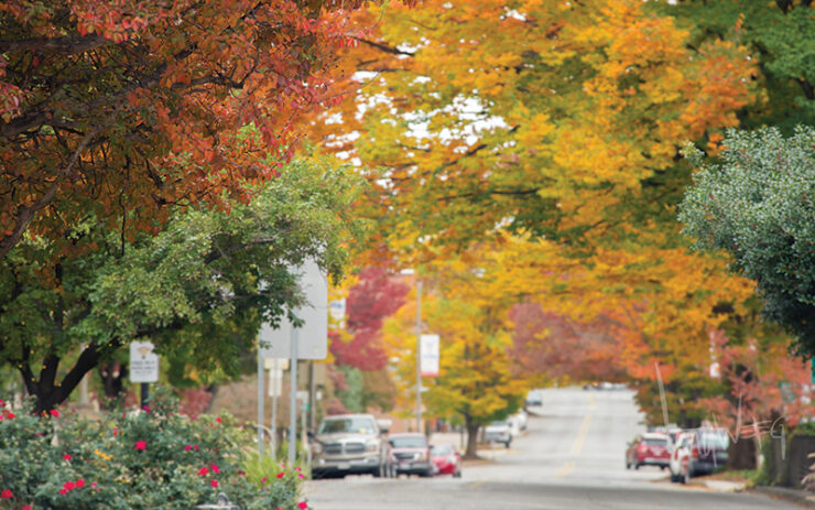 Explore History and Heritage in Wicomico County » Maryland Road Trips