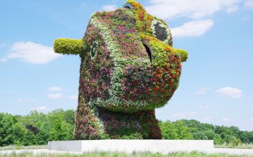 Maryland Road Trips - Explore what awaits just beyond your driveway ...