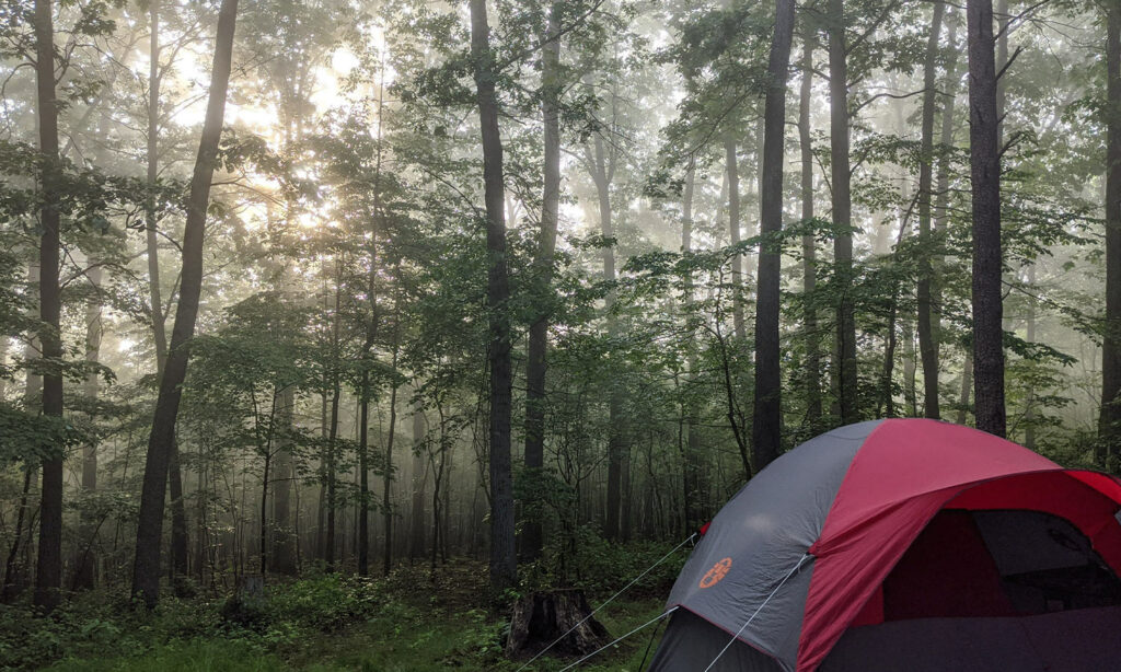 Keep Camping Simple: Go Primitive at Green Ridge State Forest ...