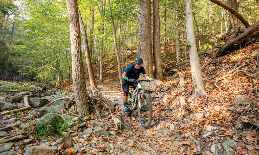 What’s Your Speed? Activities for Every Pace in Howard County, Maryland ...