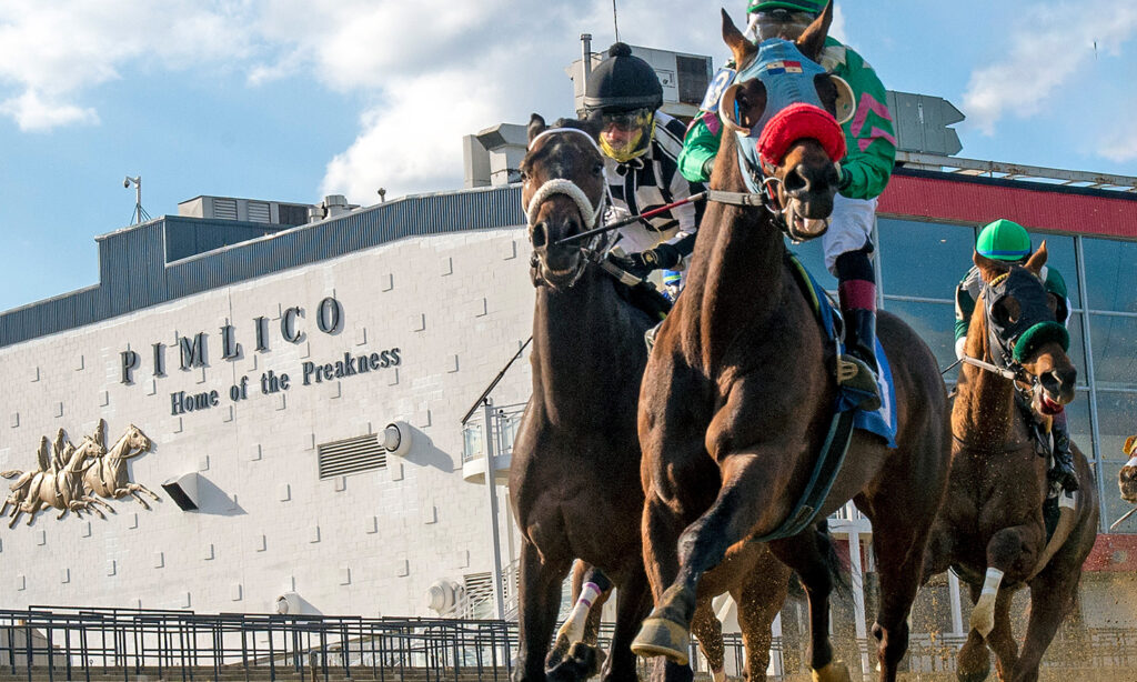 Don't Miss These 2024 Events in Maryland » Maryland Road Trips