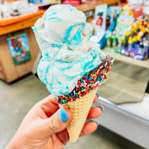 A Thrilling Ride at the Rocky Ridge Slide » Maryland Road Trips