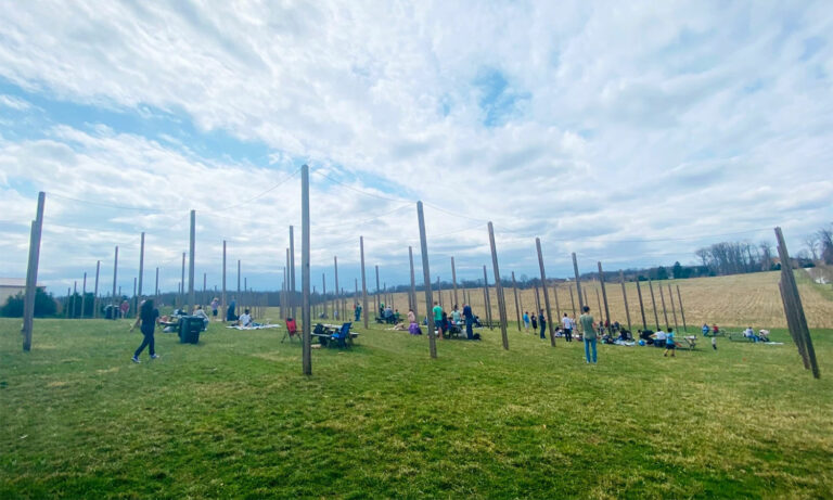 Spread out at These 5 Family-Friendly Breweries in Central Maryland