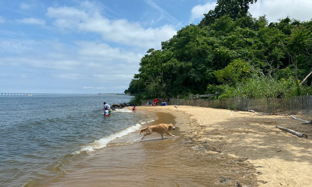 8 Ways to Feel Like You’re on [Kent] Island Time » Maryland Road Trips