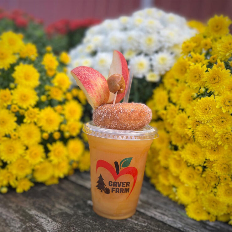 Celebrate All Things Fall at These Family-Friendly Farms in Maryland ...