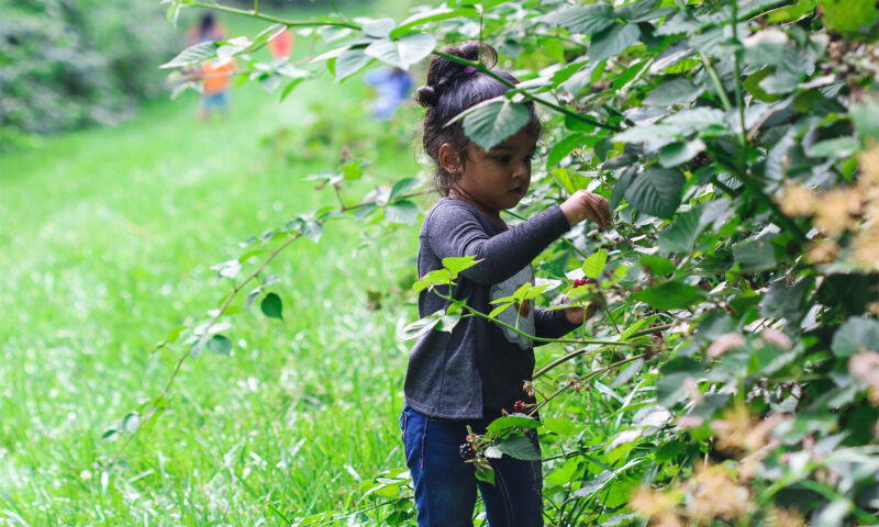 Celebrate All Things Fall at These Family-Friendly Farms in Maryland ...