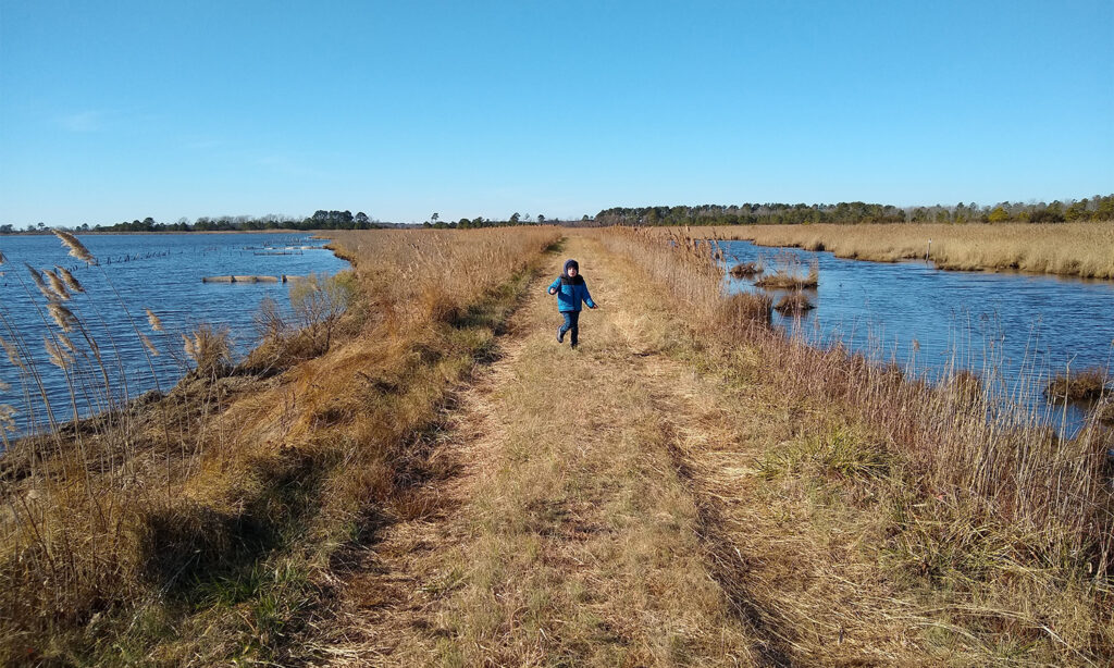 Hidden Hiking Trails on the Eastern Shore » Maryland Road Trips