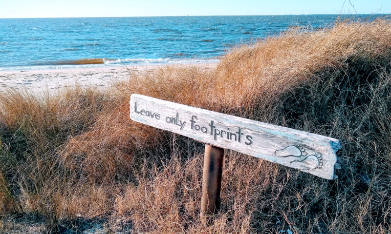 7 Secluded Eastern Shore Beaches Worth Exploring