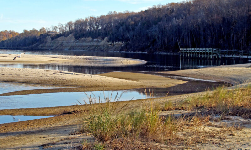 My Favorite Springtime Strolls in Calvert County