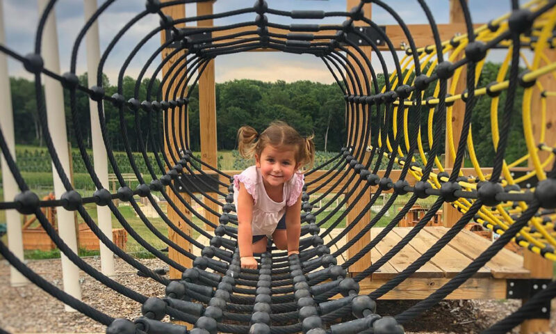 Plan Now for These Classic Fall Activities