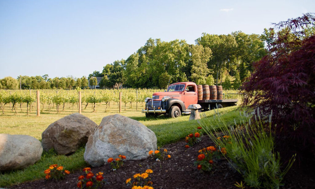 Nothing to W(h)ine About at Great Frogs Winery » Maryland Road Trips