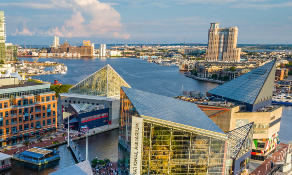 A Mesmerizing Visit to the National Aquarium » Maryland Road Trips