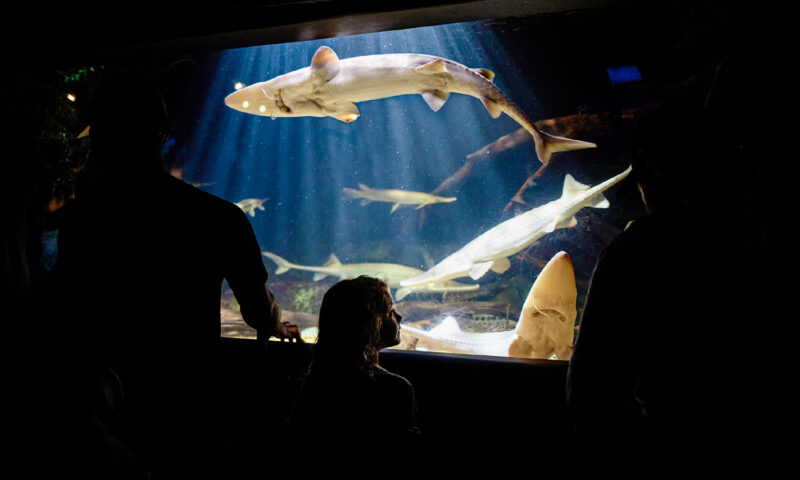 How I Spent 24 Hours in Baltimore