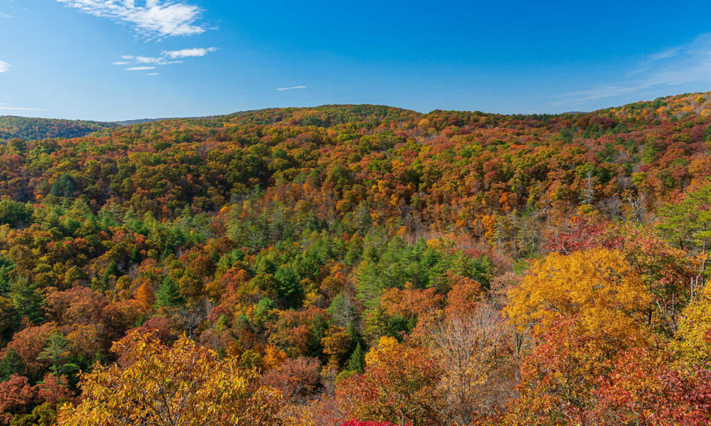 Go Backpacking Through Maryland’s State Forests » Maryland Road Trips