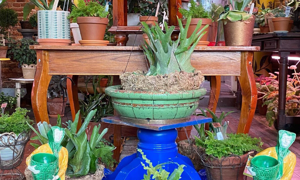 Where to Experience Great Shopping in Frederick » Maryland Road Trips