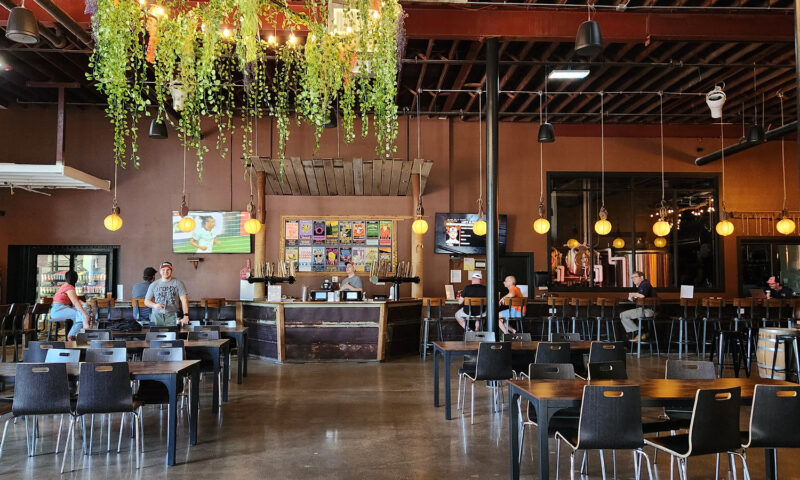 Bold Brews in The South Baltimore Brewery District