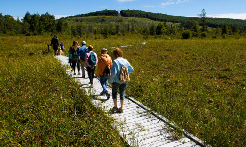 From Swamps to Sculptures: Maryland's Hidden Gems