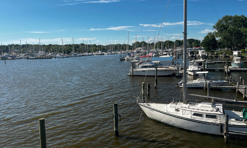 Experience Eastern Shore Vibes in South County